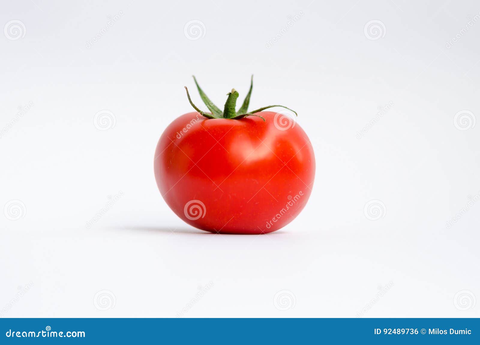 Tomato stock photo. Image of cook, blog, garden, culinary - 92489736
