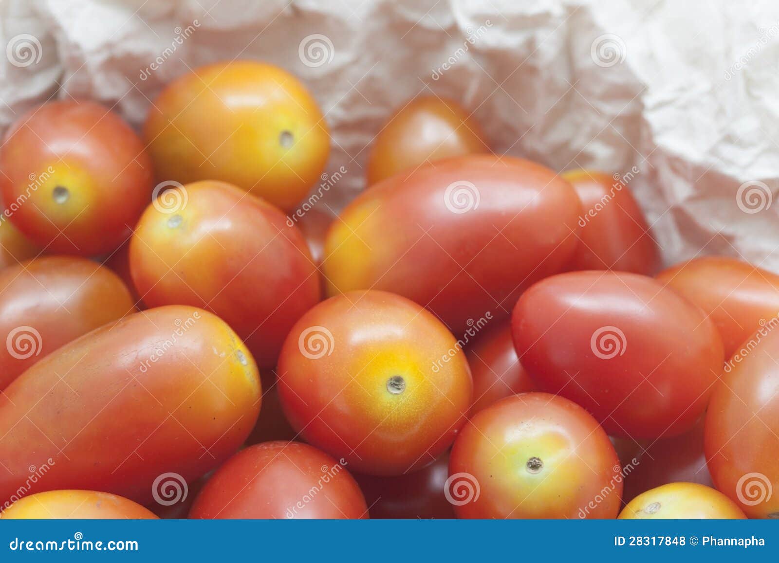 Tomato on a paper stock photo. Image of foodstuff, diet - 28317848
