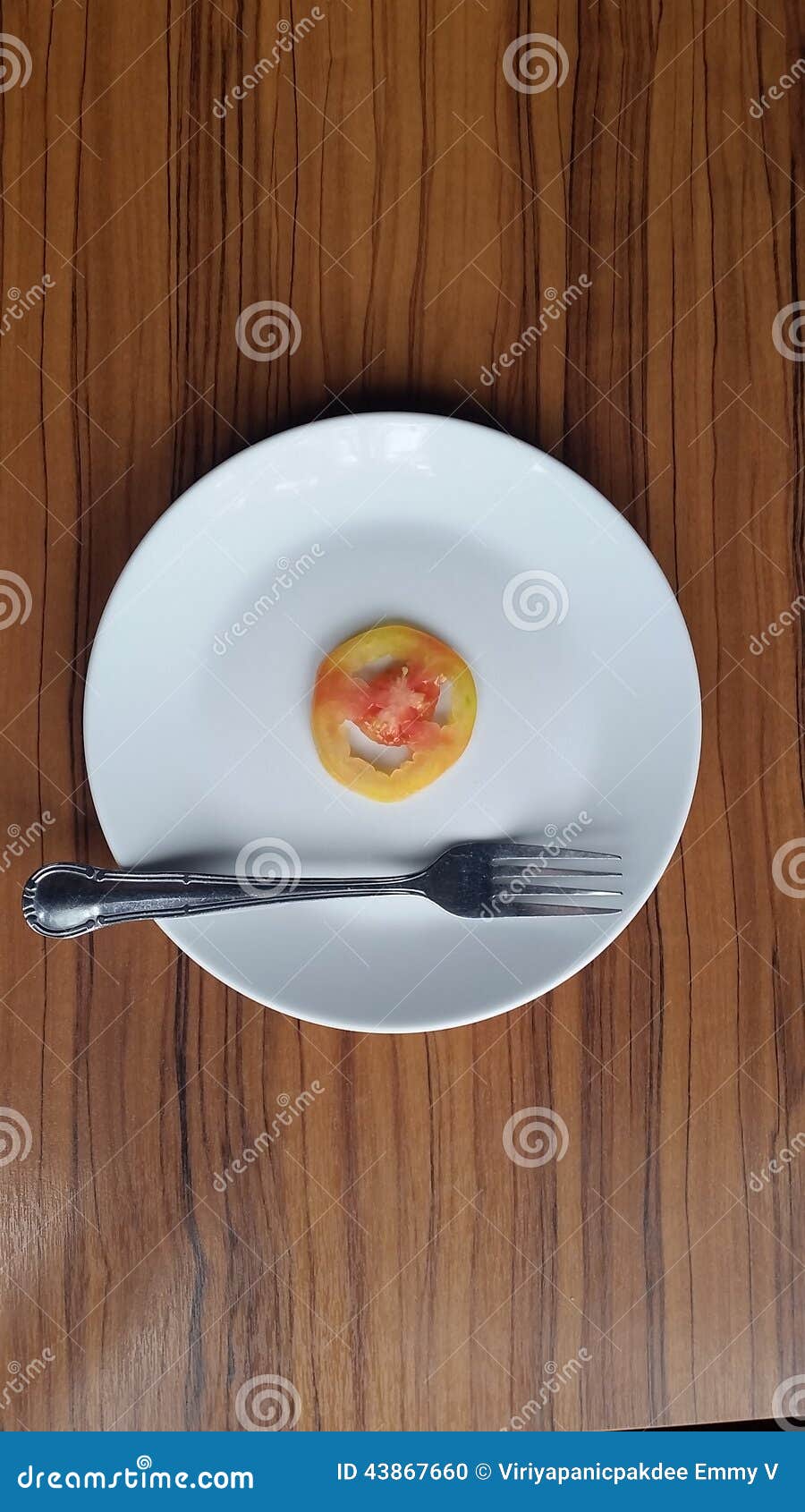 Tomato plate disc stock photo. Image of tomato, dish - 43867660