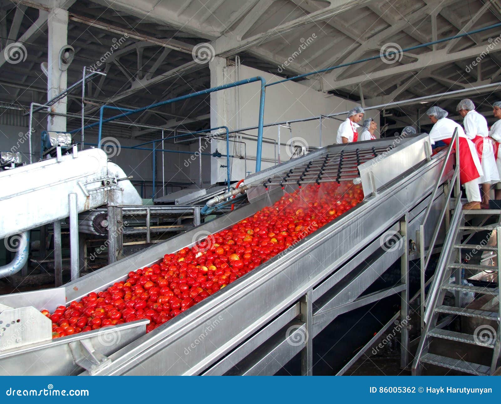 Tomato processing editorial photography. Image of puree - 86005362