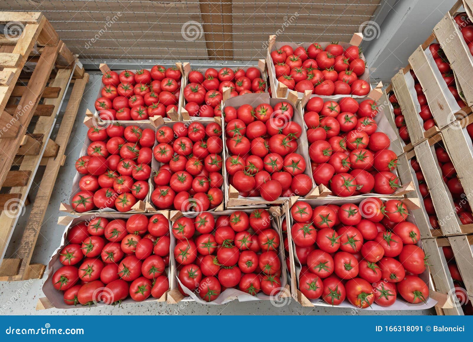 Tomato Produce stock image. Image of tomatoes, produce - 166318091