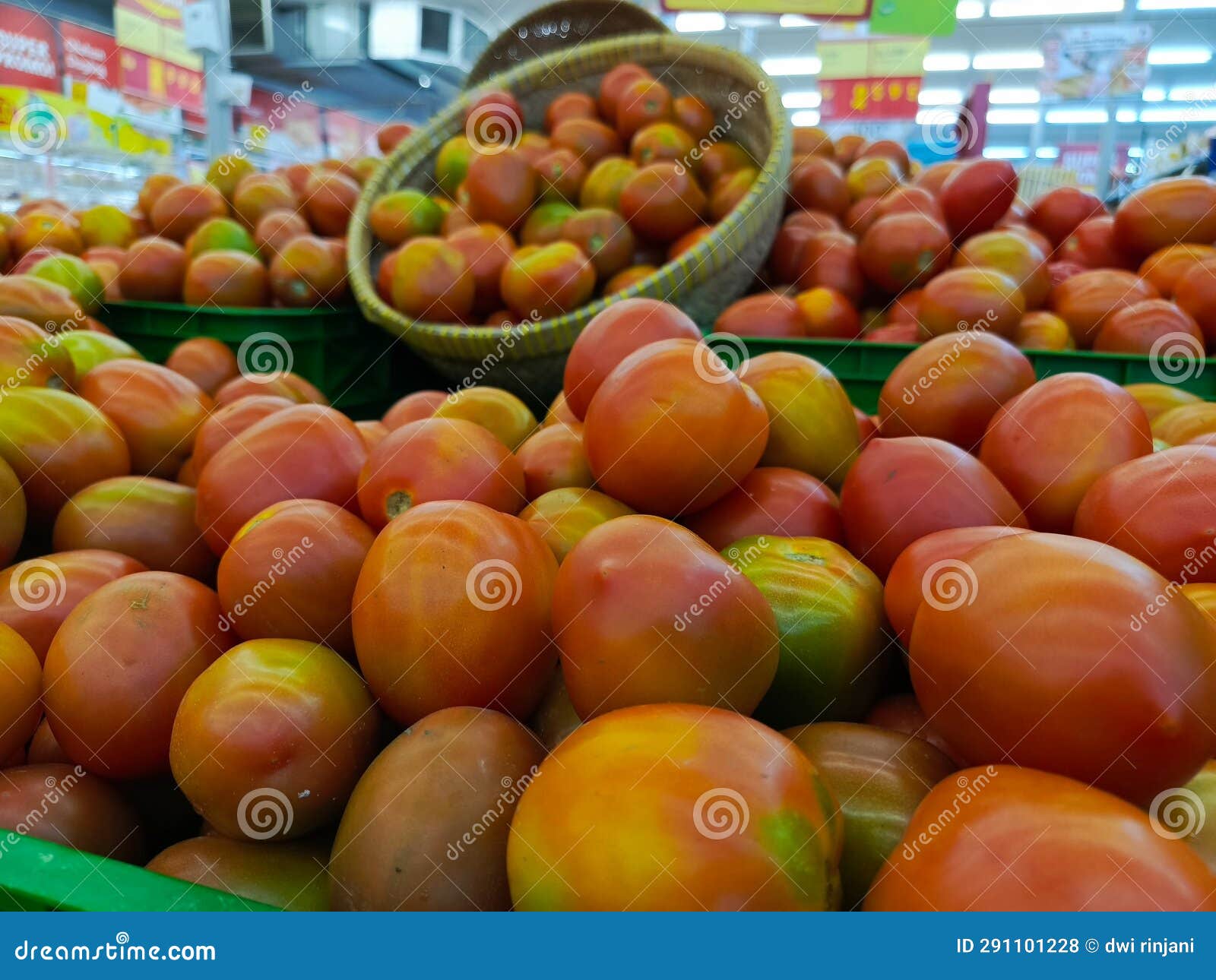 Tomato in the Rak Full Reed Colours Stock Photo - Image of tomato, full ...