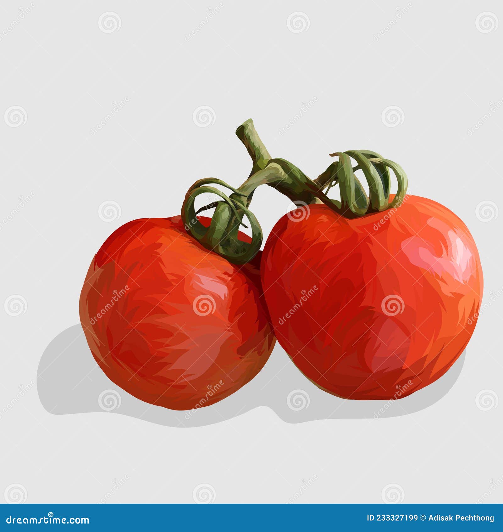 Tomato Realistic Hand Drawn Vector Stock Vector - Illustration of slice ...
