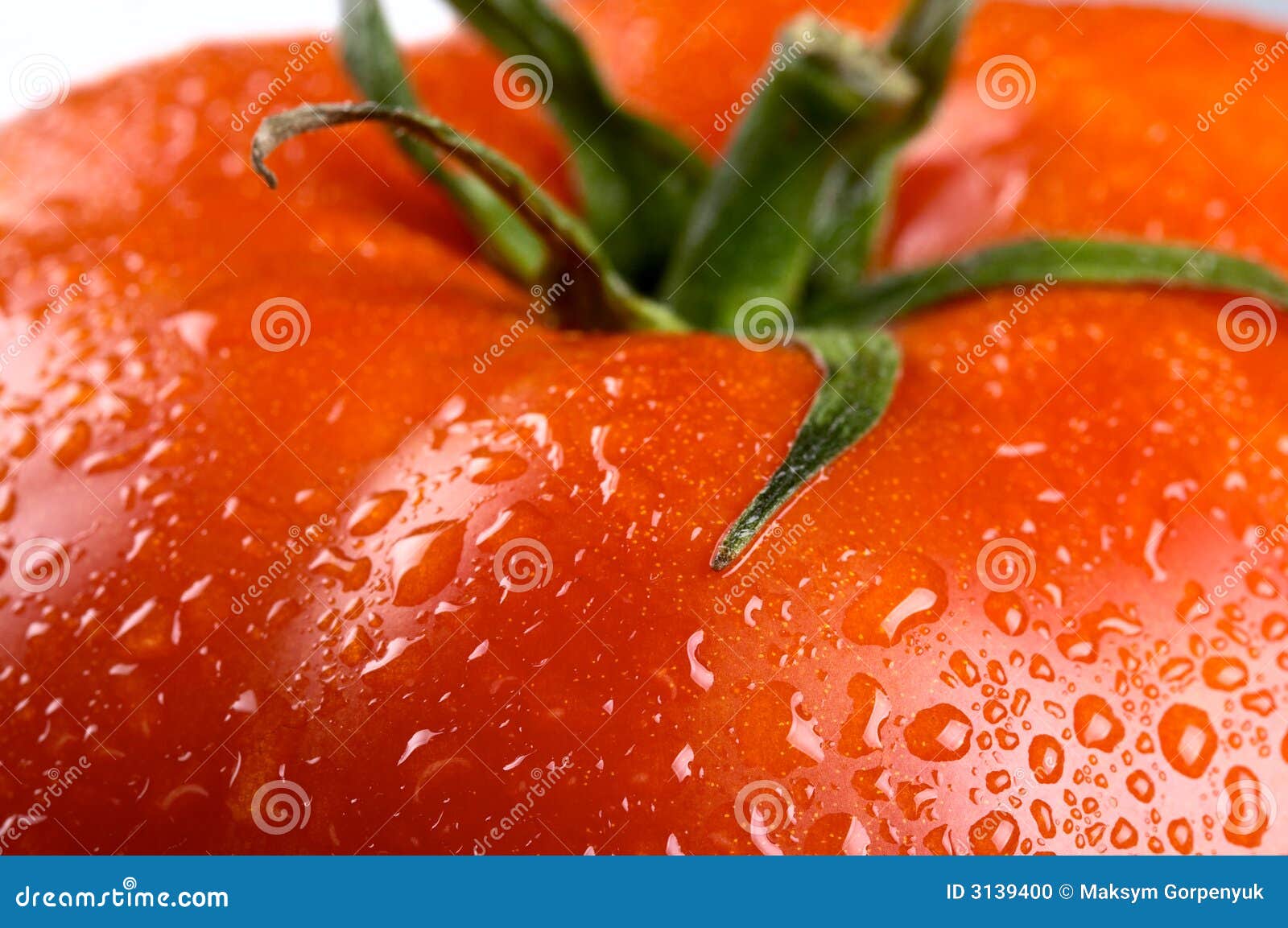 Tomato with scape stock photo. Image of juicy, drop, organic - 3139400