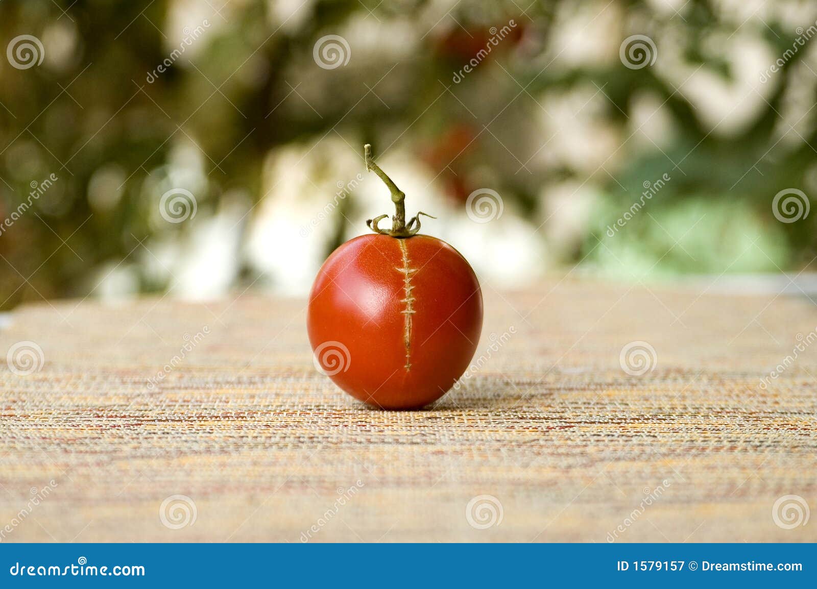 Tomato with a Scar stock image. Image of determination - 1579157
