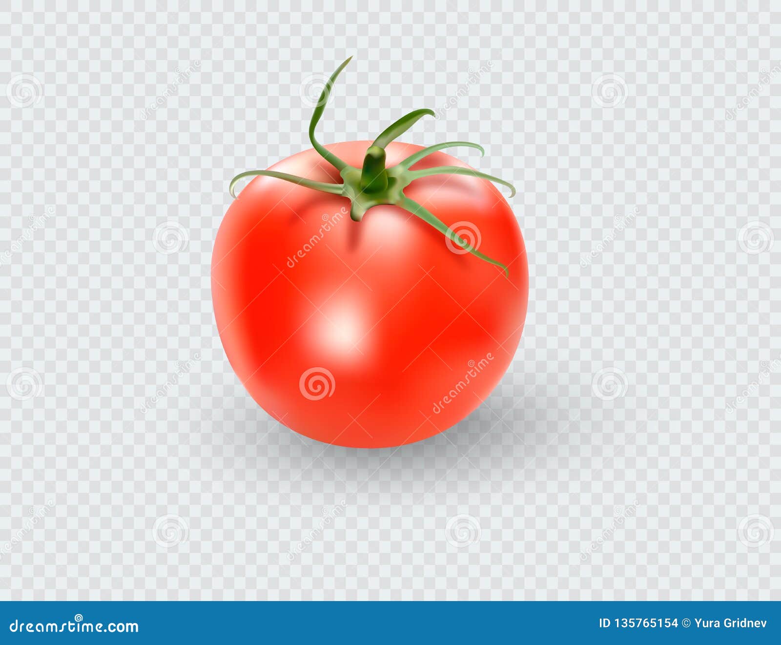 Tomato Set. Red Tomato Collection. Photo-realistic Vector Tomatoes On ...