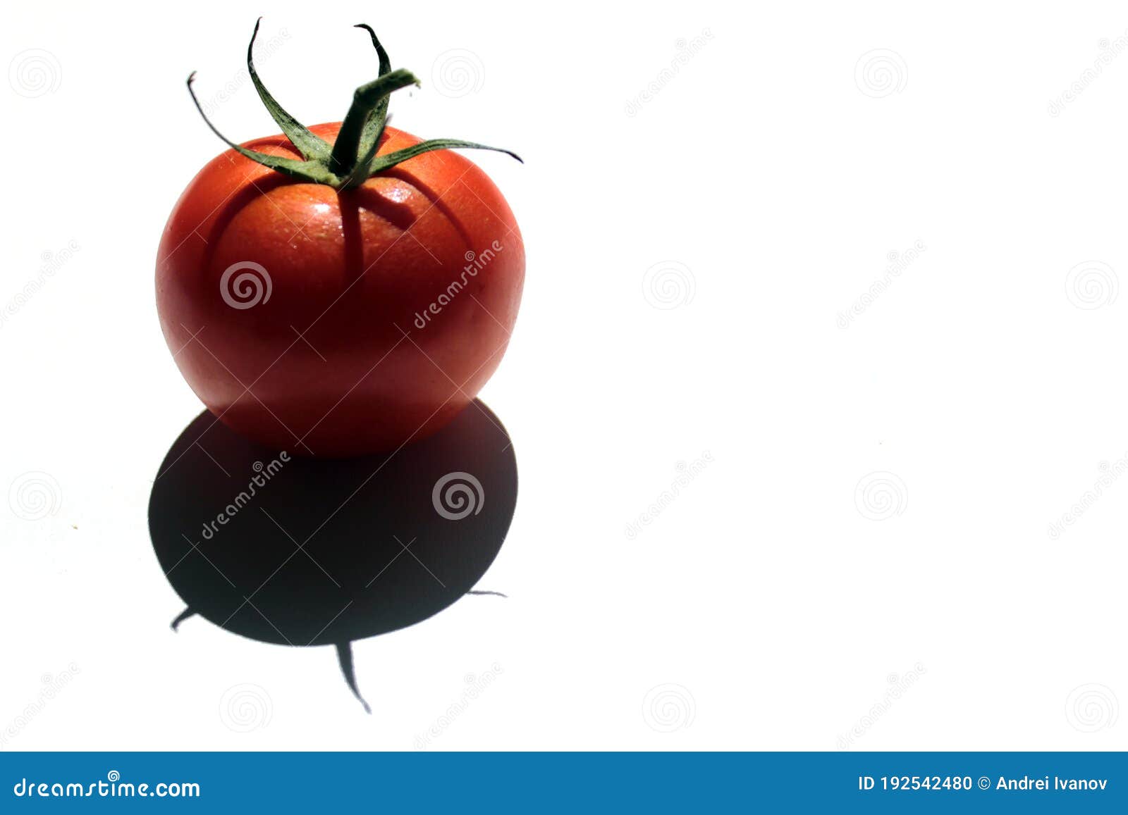 Tomato with Shadow on a White Background Isolated Stock Photo - Image ...