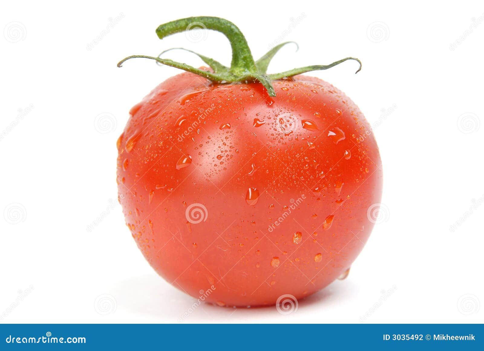 Tomato single stock photo. Image of healthy, freshness - 3035492