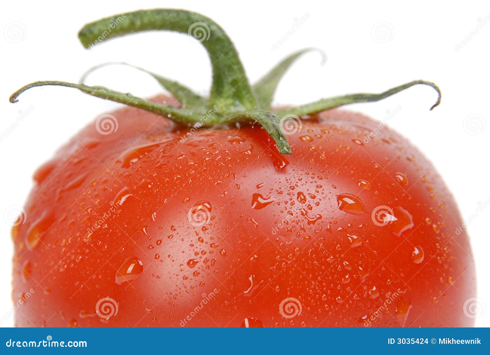Tomato single close-up stock photo. Image of tomato, water - 3035424