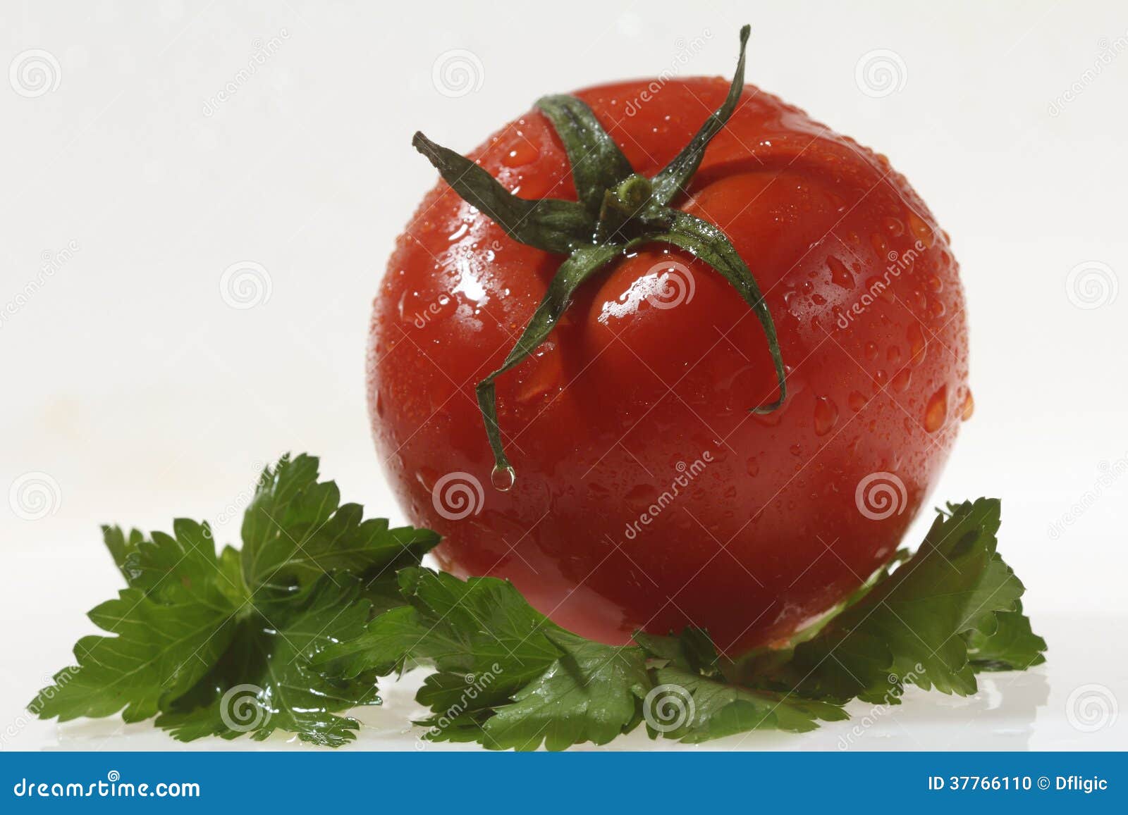 Tomato stock photo. Image of leaf, macro, tomato, natural - 37766110