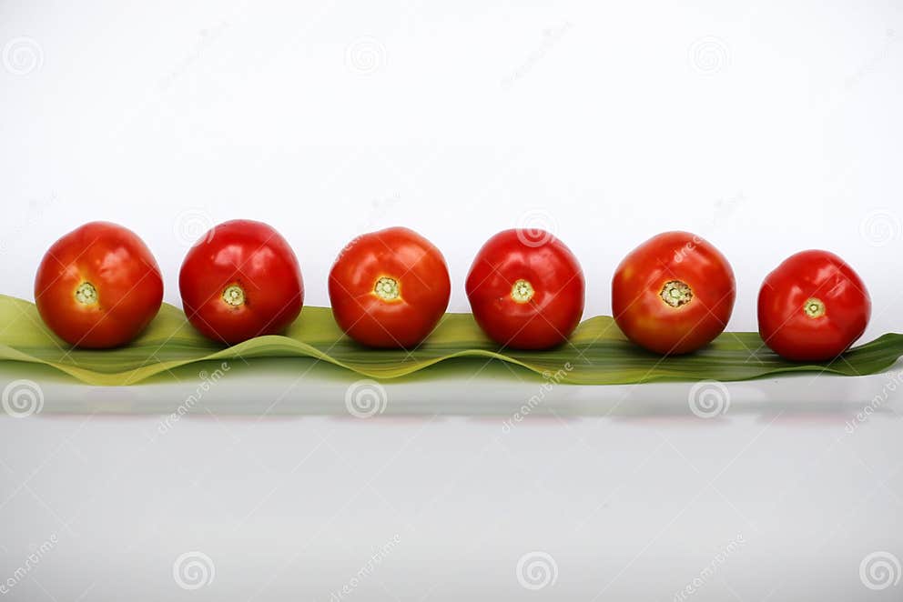Tomato stock image. Image of edible, diet, produce, savoury - 45834259