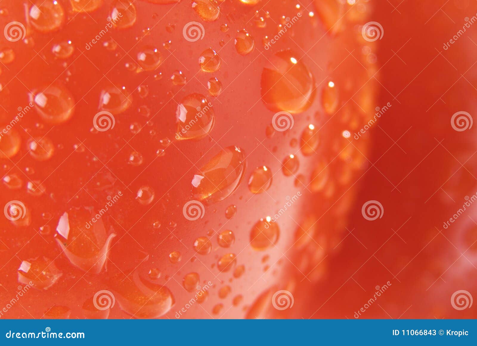 The tomato skin stock image. Image of food, drop, fresh - 11066843
