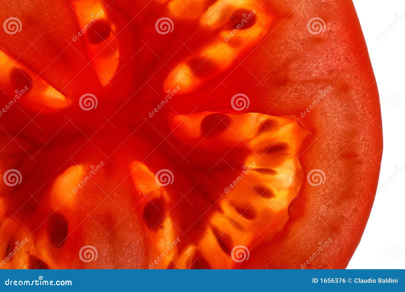 Tomato Slice on Light Table (back Lighted) - 2 Stock Photo - Image of ...