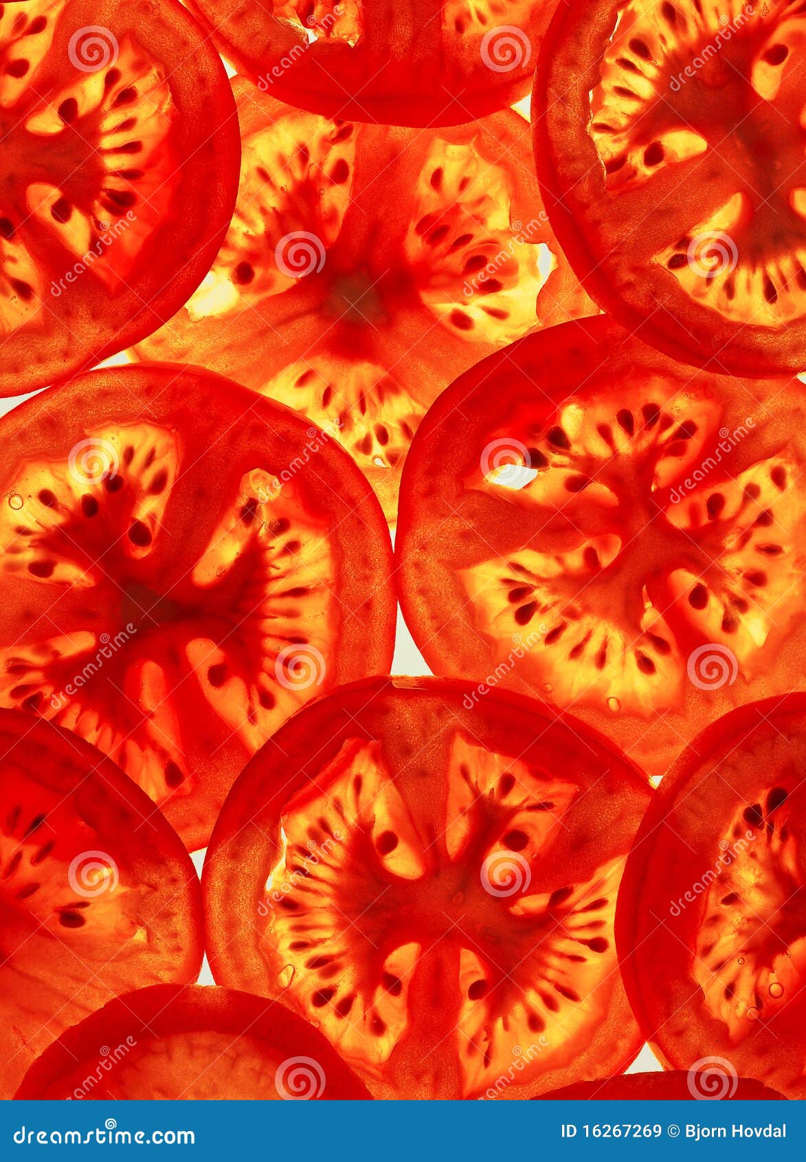 Tomato slices stock image. Image of ingredient, nature - 16267269