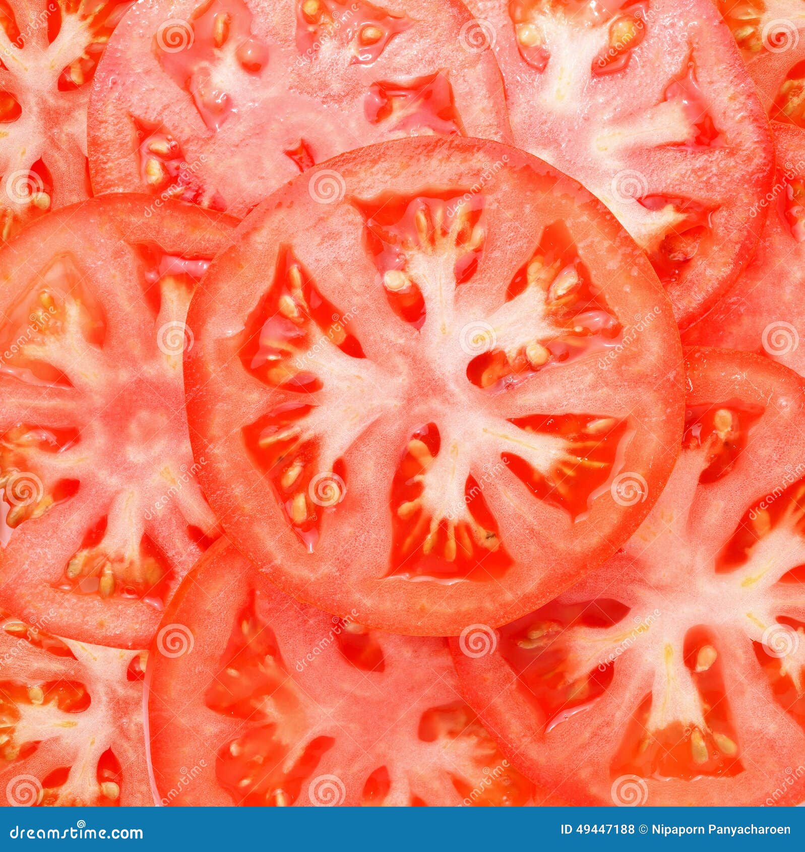 Tomato slices background stock photo. Image of vegetable - 49447188