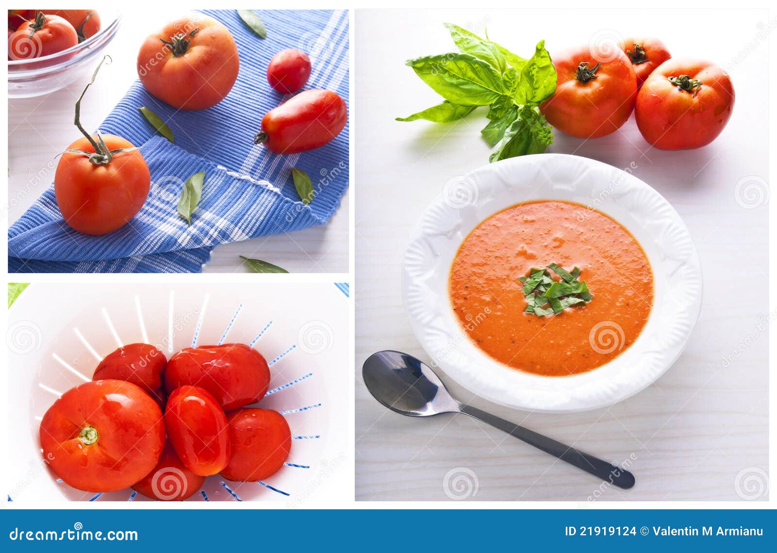 Tomato soup collage stock photo. Image of tasty, vegetarian - 21919124
