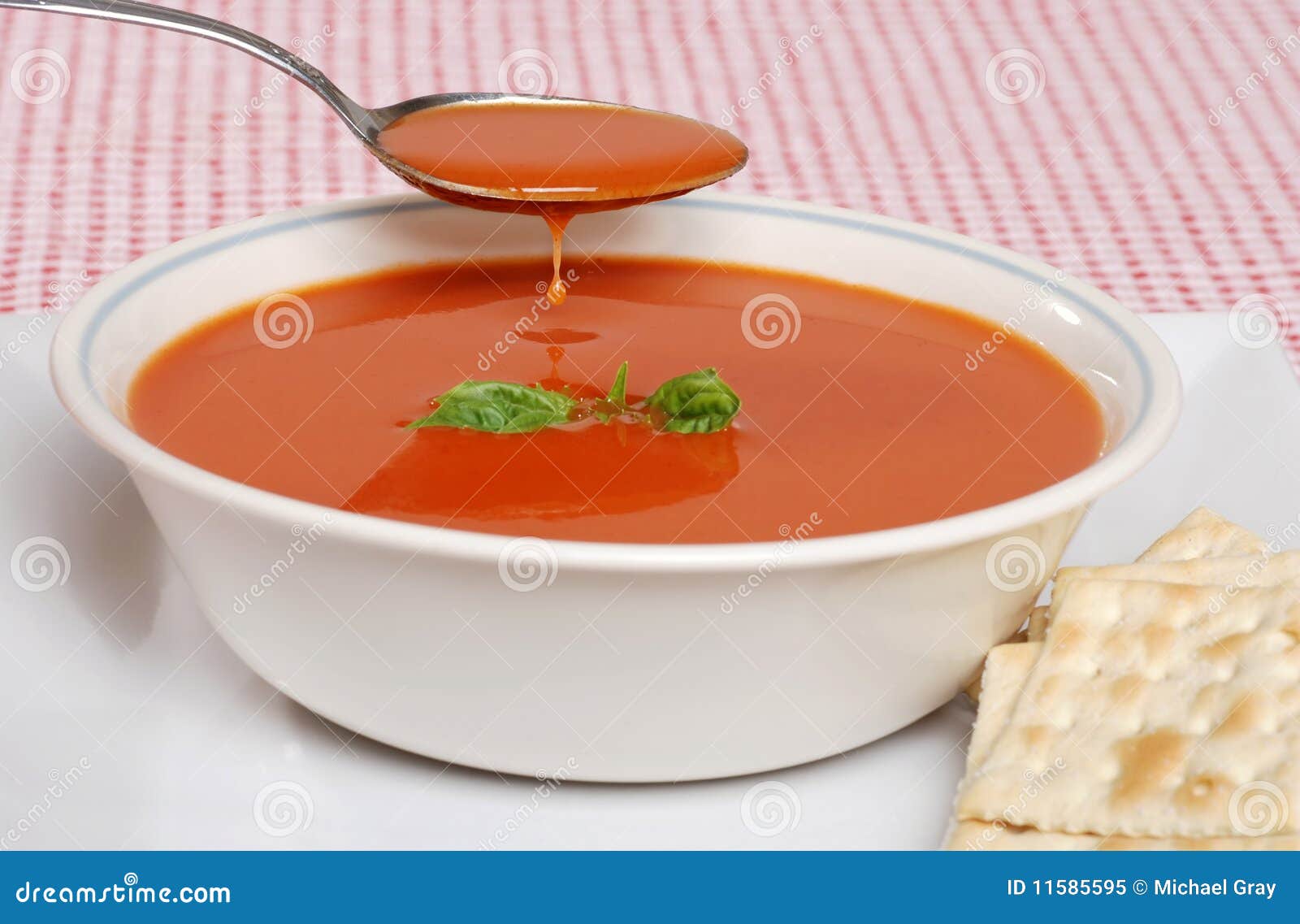 Tomato soup for lunch stock image. Image of fresh, prepared - 11585595