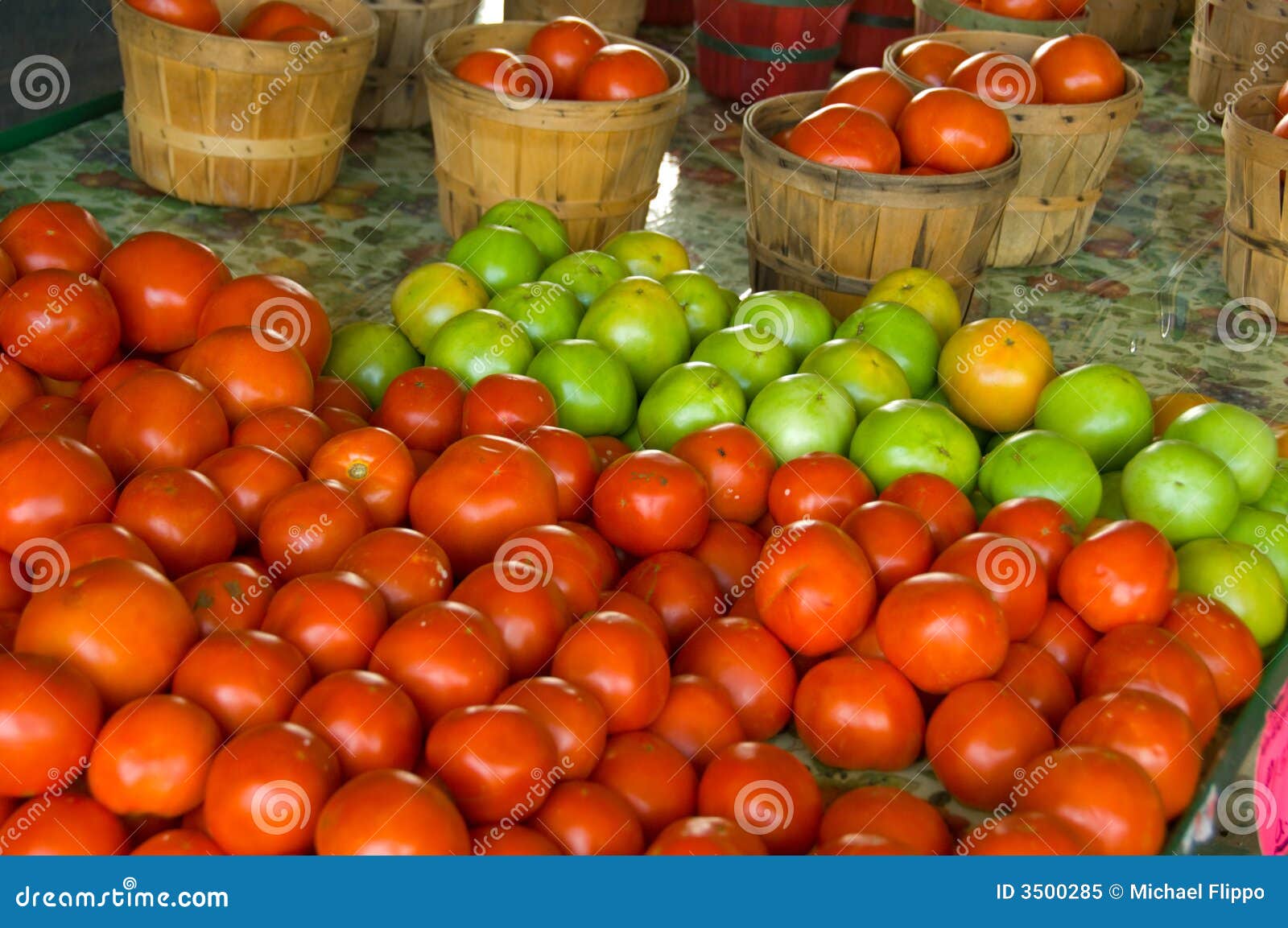 Tomato Stand Picture. Image: 3500285