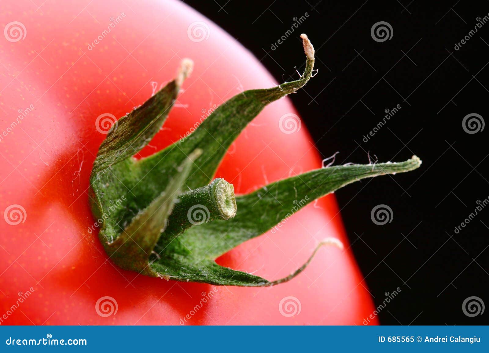 Tomato star stock image. Image of good, cooking, grown - 685565