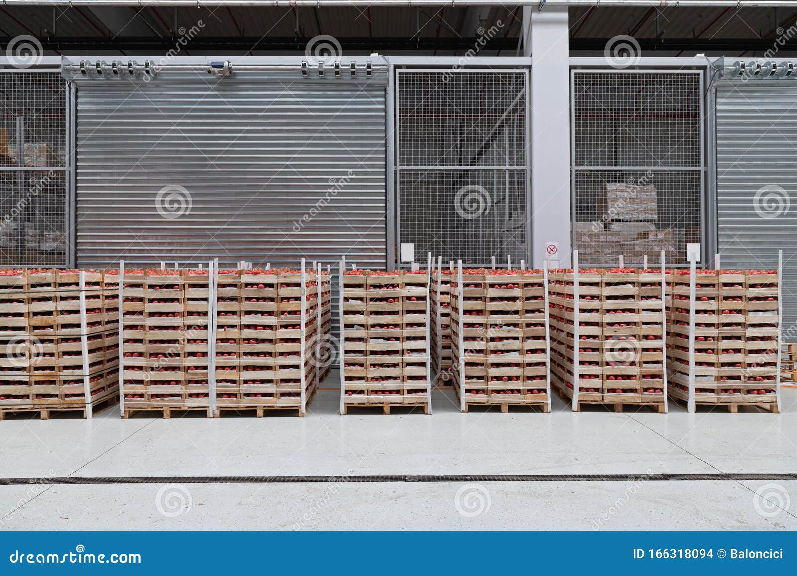 Tomato Storage stock photo. Image of fruits, boxes, food - 166318094