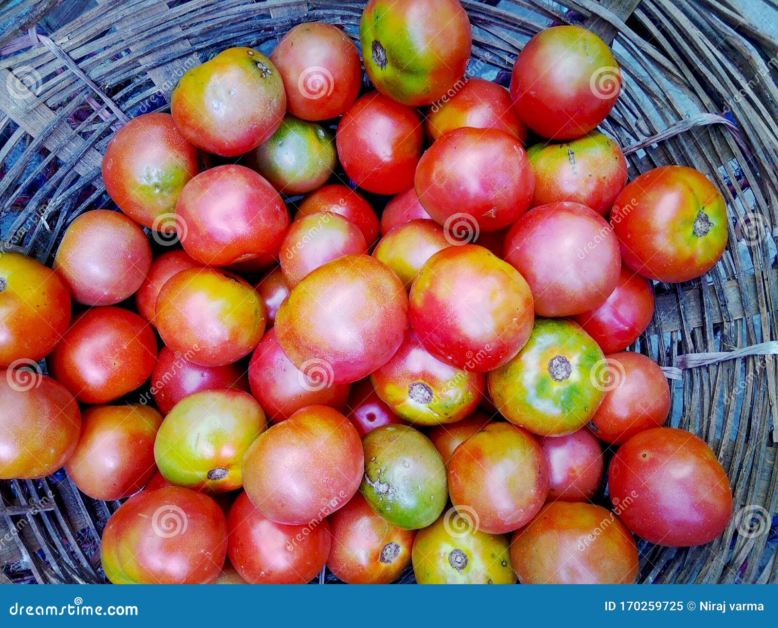 A tomato store in backed stock image. Image of green - 170259725