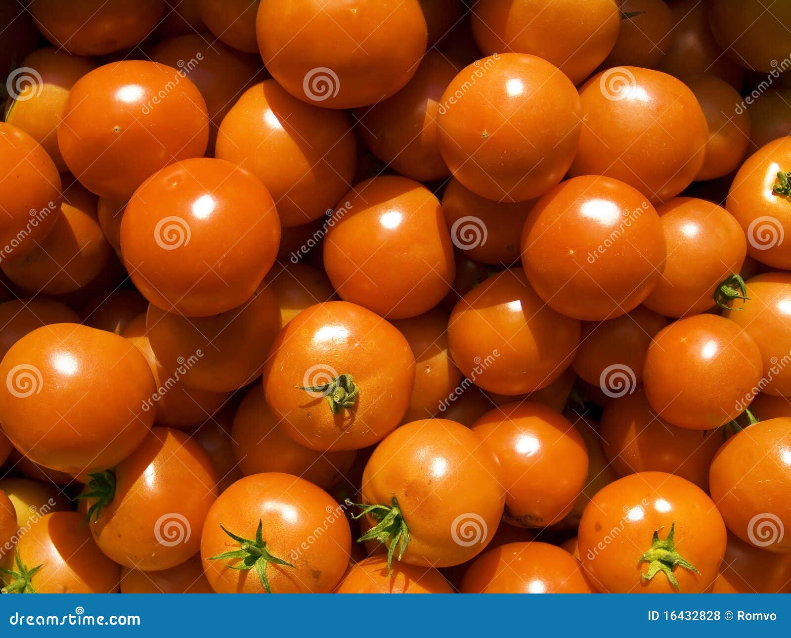 Tomato sun background stock photo. Image of shine, healthy - 16432828