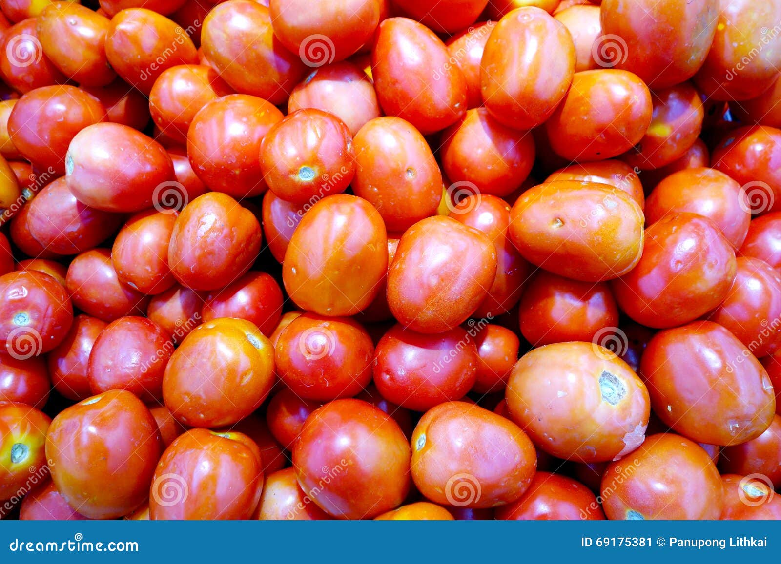Tomato Texture Background Stock Image | CartoonDealer.com #69175381