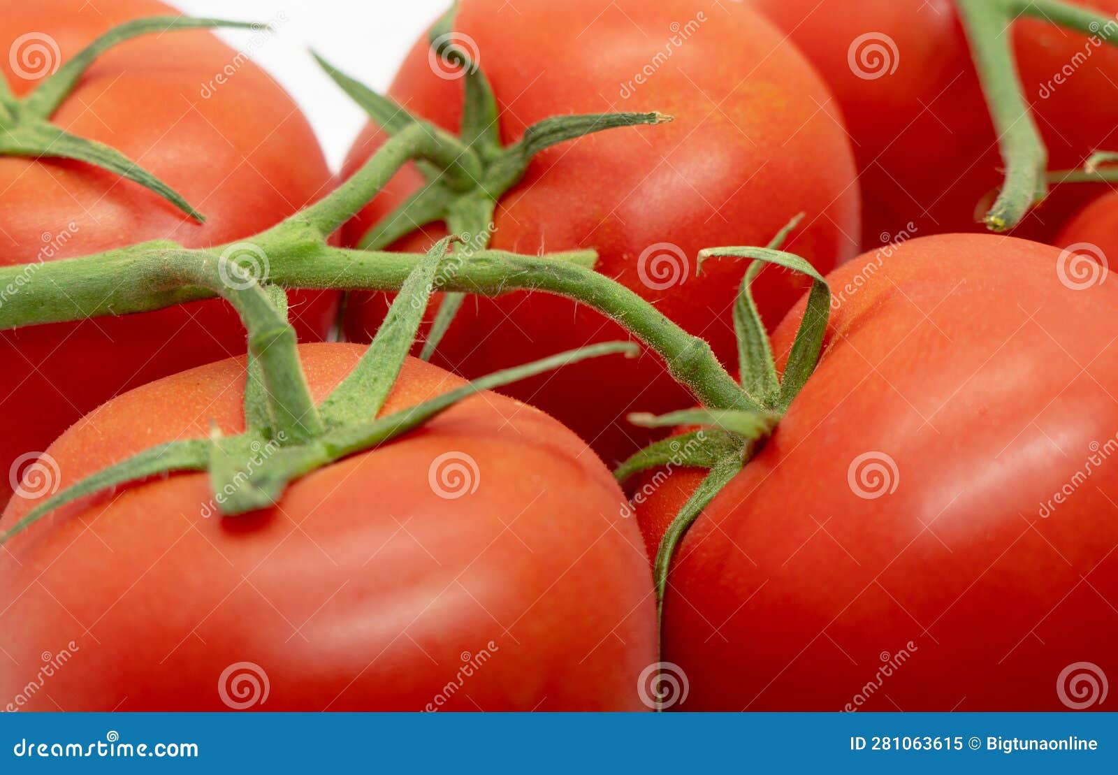 Tomato Texture Background. Top View. Fresh Cherry Tomatoes Pattern ...
