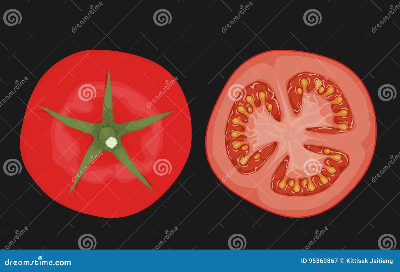 Tomato top view stock vector. Illustration of graphic - 95369867