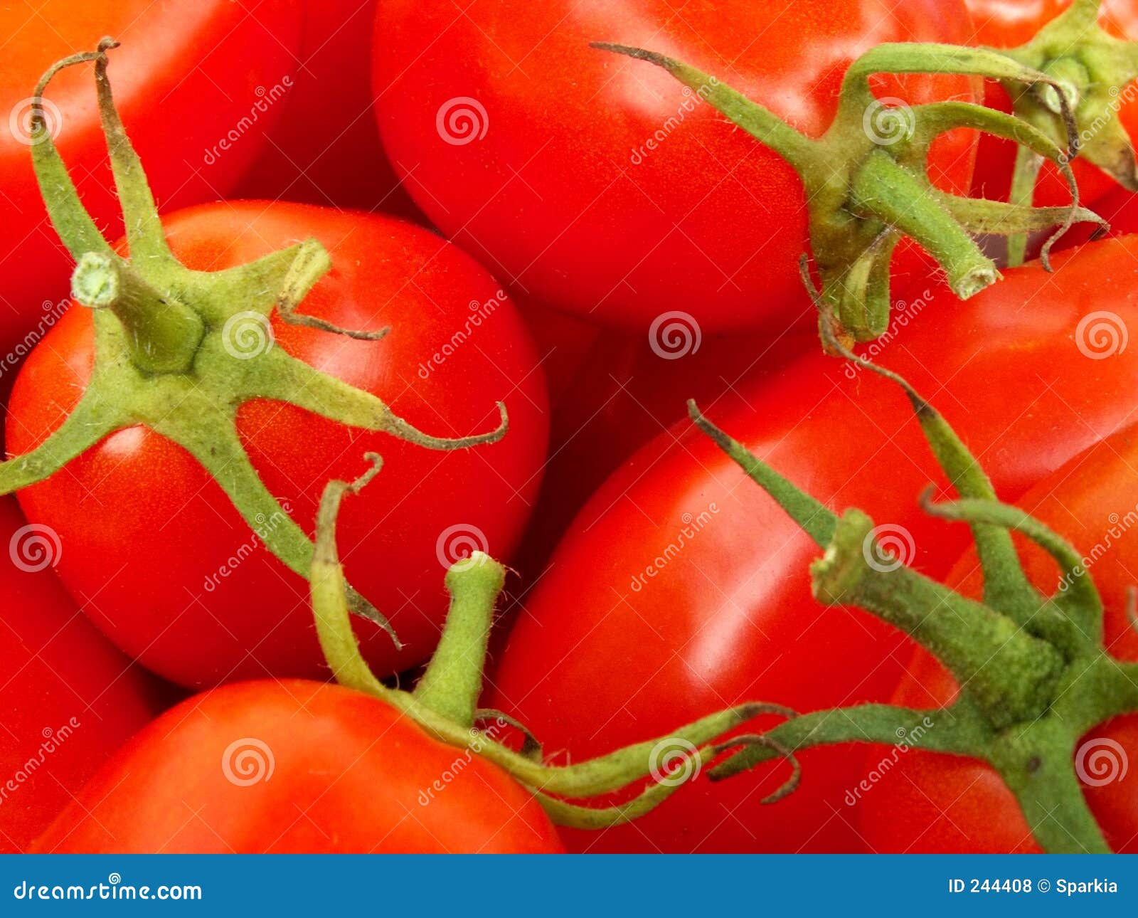 Tomato tops stock photo. Image of food, vegetable, paste - 244408