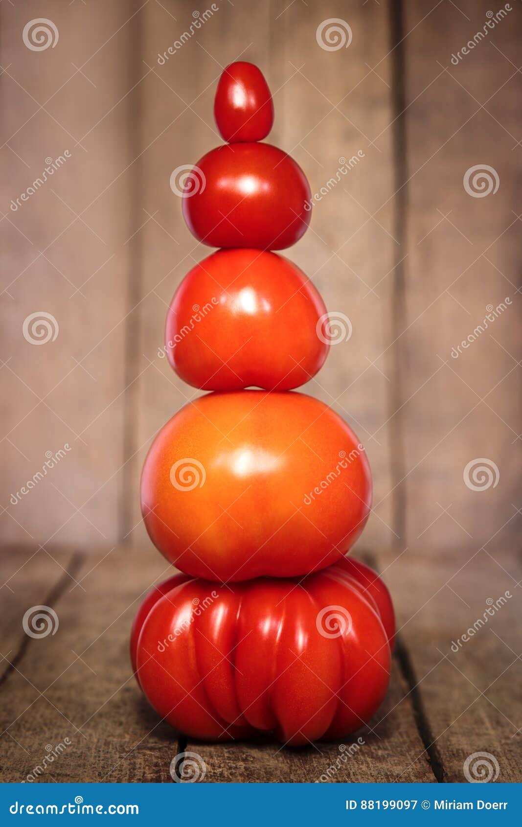 Tomato tower stock image. Image of natural, plant, background - 88199097