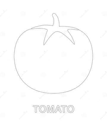Tomato Tracing Worksheet for Kids Stock Vector - Illustration of ...
