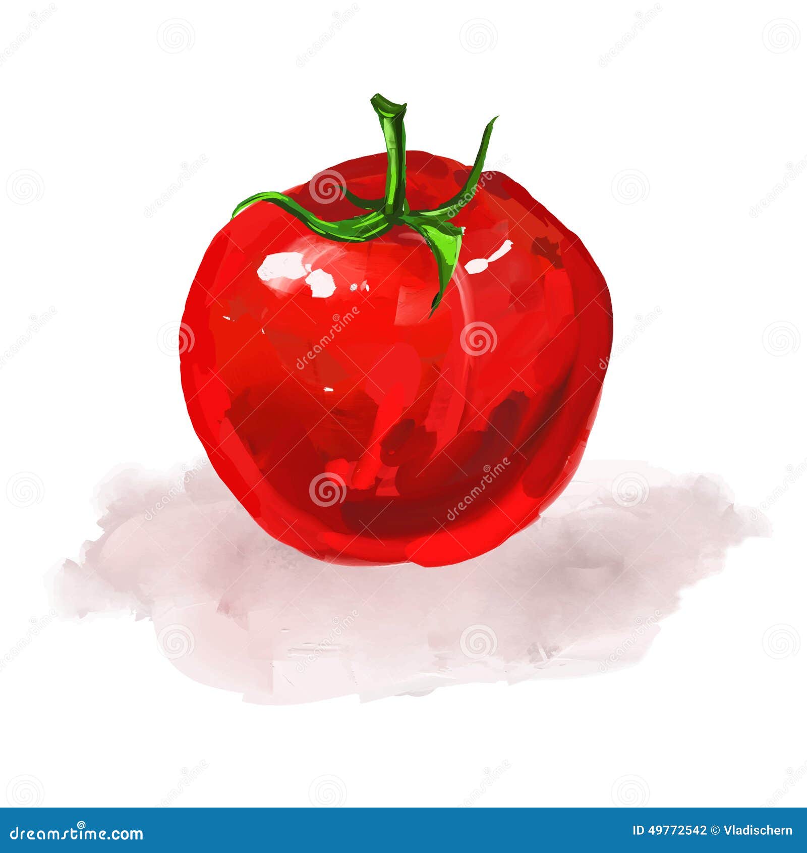 Tomato Vector Illustration Hand Drawn Painted Stock Vector ...