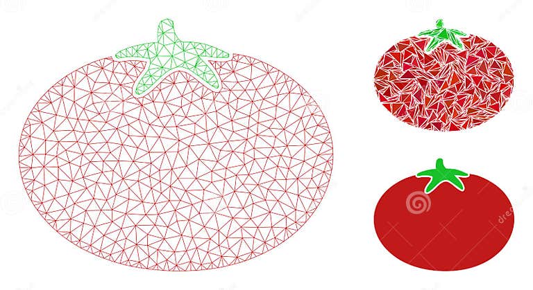 Tomato Vector Mesh Wire Frame Model and Triangle Mosaic Icon Stock ...