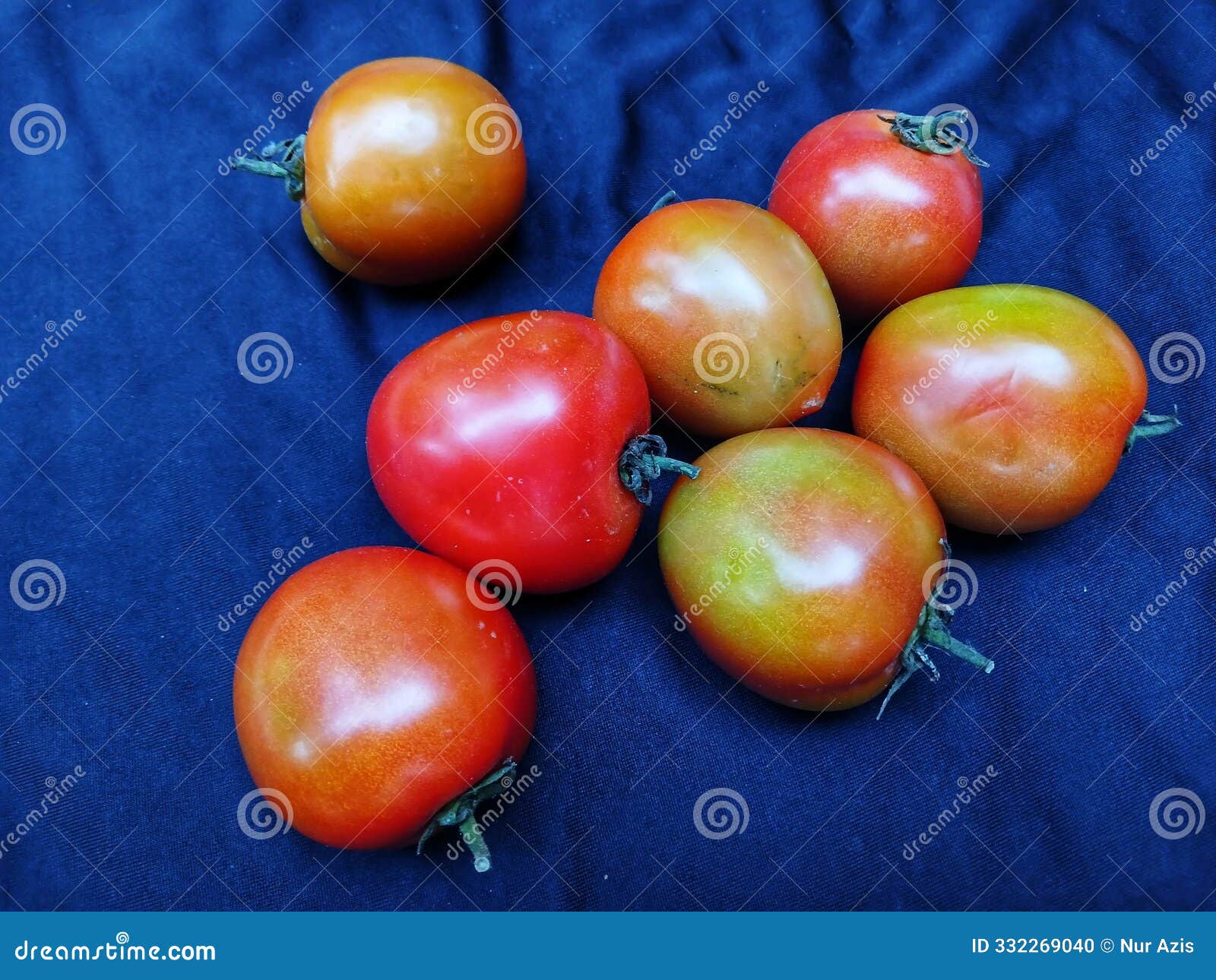 Tomato Vegetable Fruit on Navy Fabric Background Good for Food Stock ...
