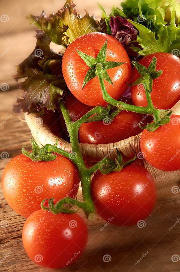 Tomato and Vegetables stock photo. Image of natural, color - 22869282