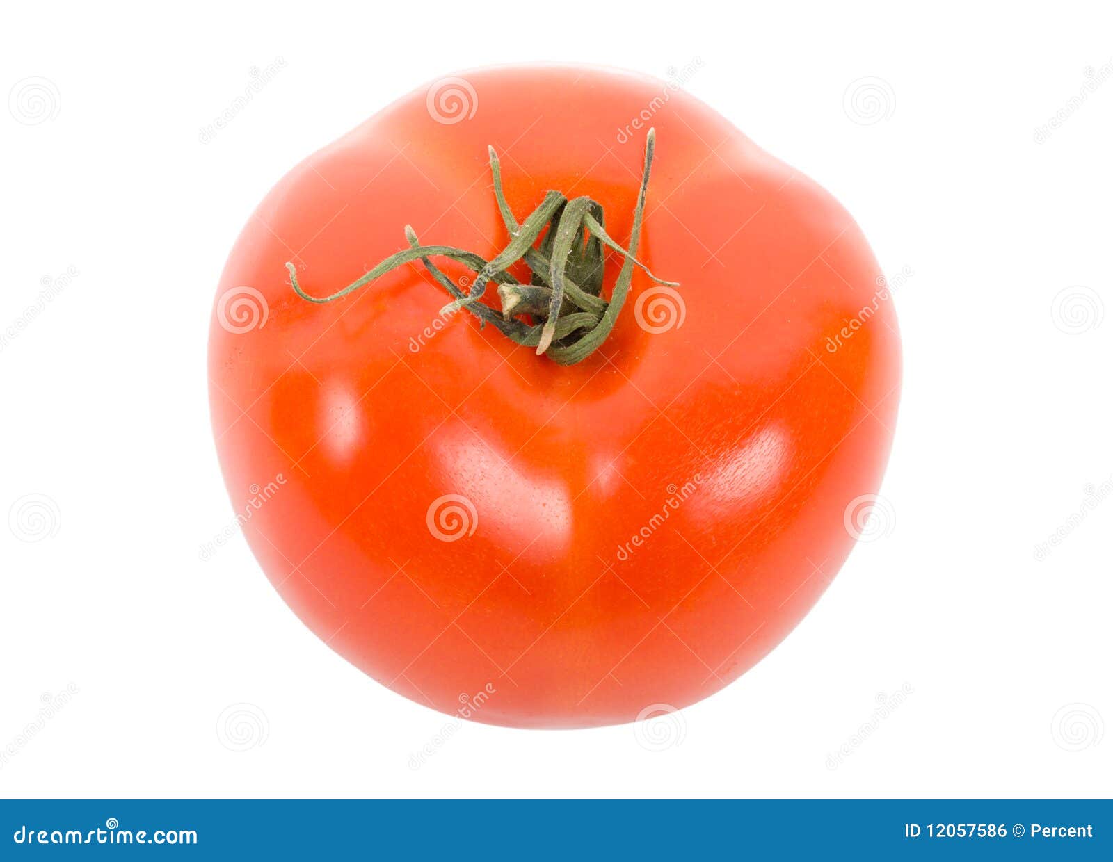 Tomato view from above stock photo. Image of close, tomato - 12057586