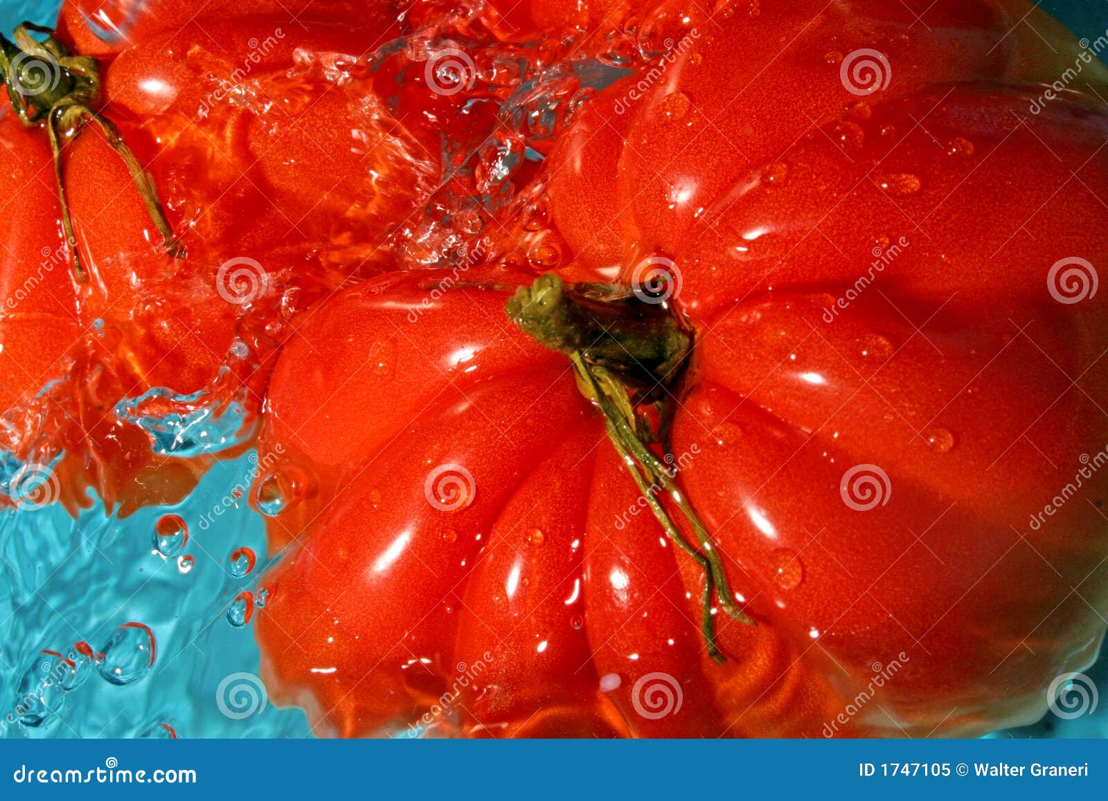 Tomato wash stock image. Image of vegetarian, health, salad - 1747105