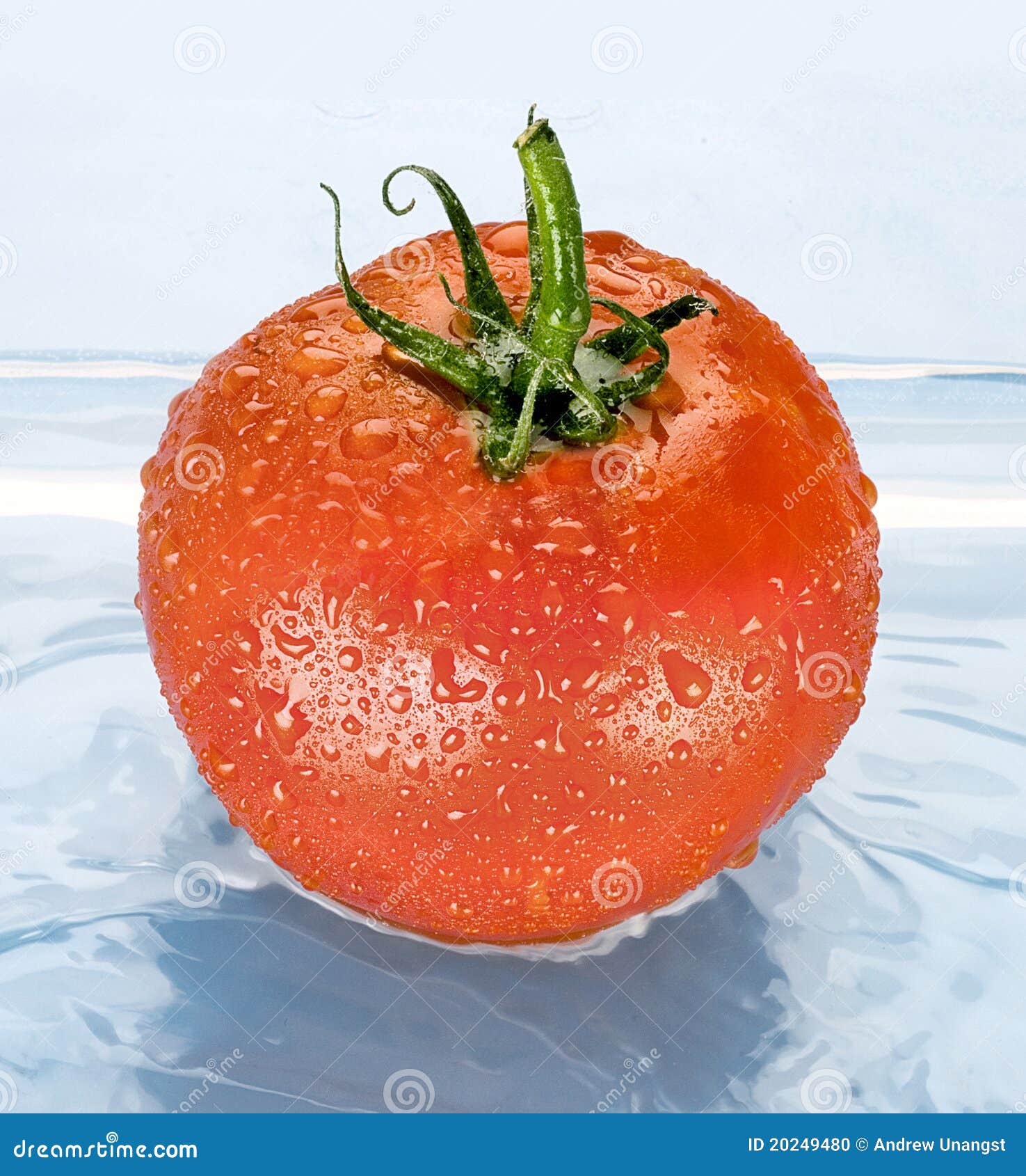 Tomato in water stock photo. Image of still, tomato, splash - 20249480