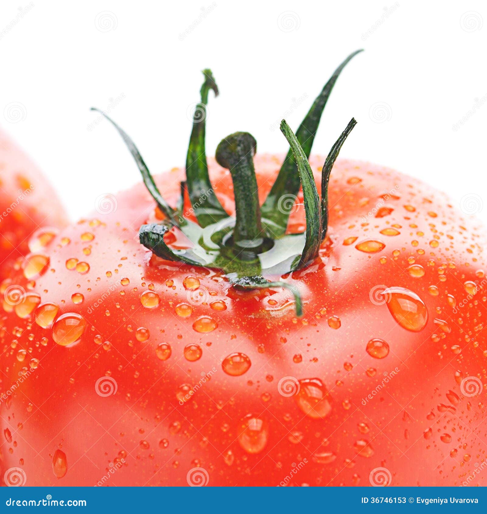 Tomato with water drops stock image. Image of objects - 36746153
