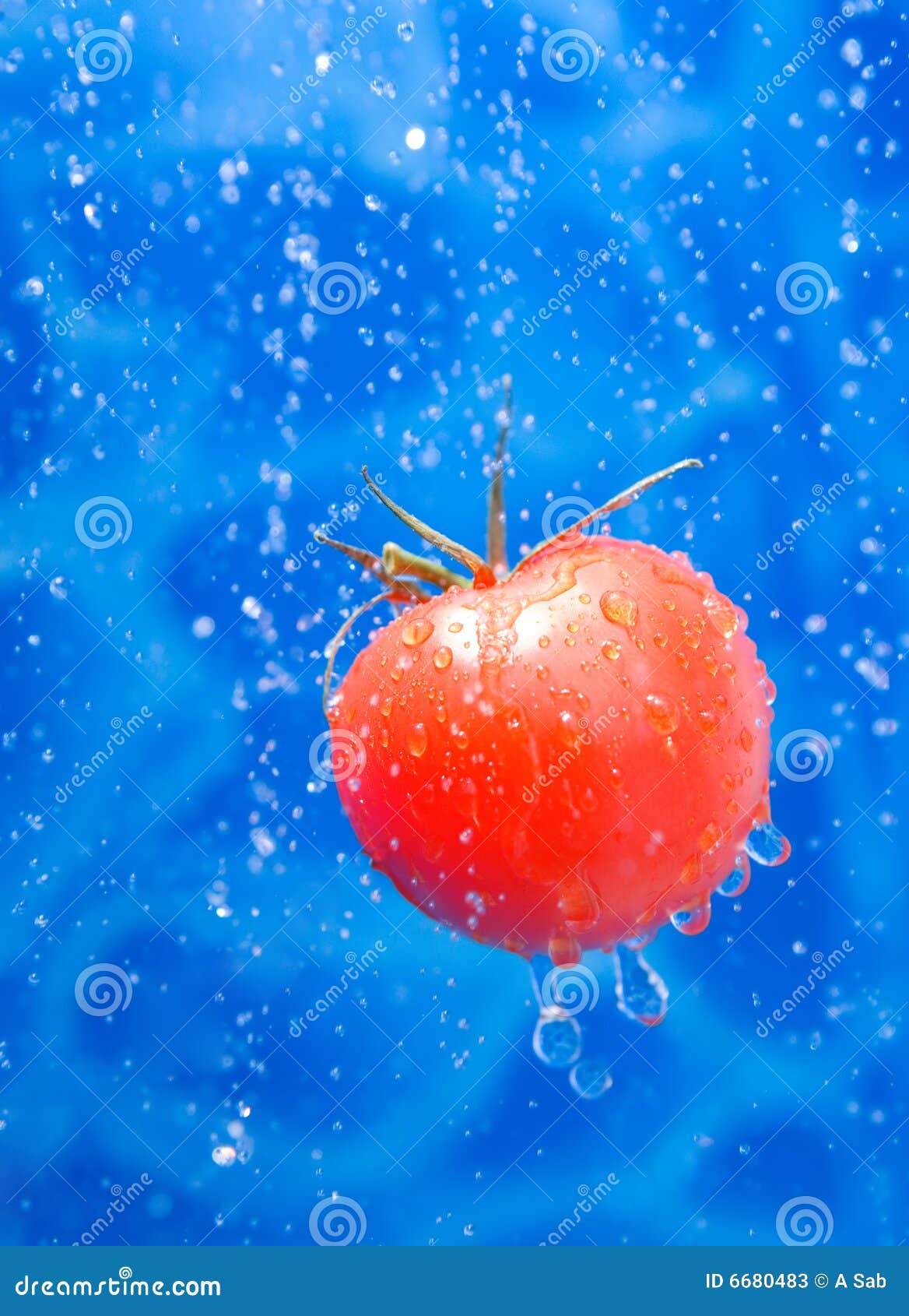 Tomato in a Water Splash Drops Stock Image - Image of clear, speed: 6680483