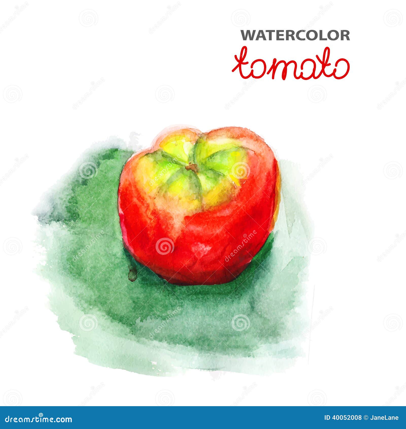 Tomato, Watercolor Painting Stock Vector - Illustration of artwork ...