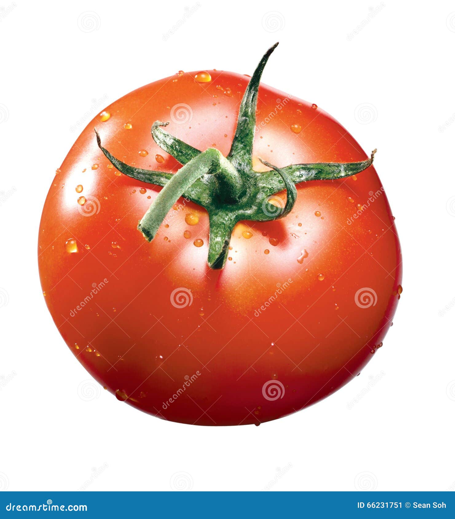 Tomato with waterdrop stock image. Image of cooked, fruit - 66231751