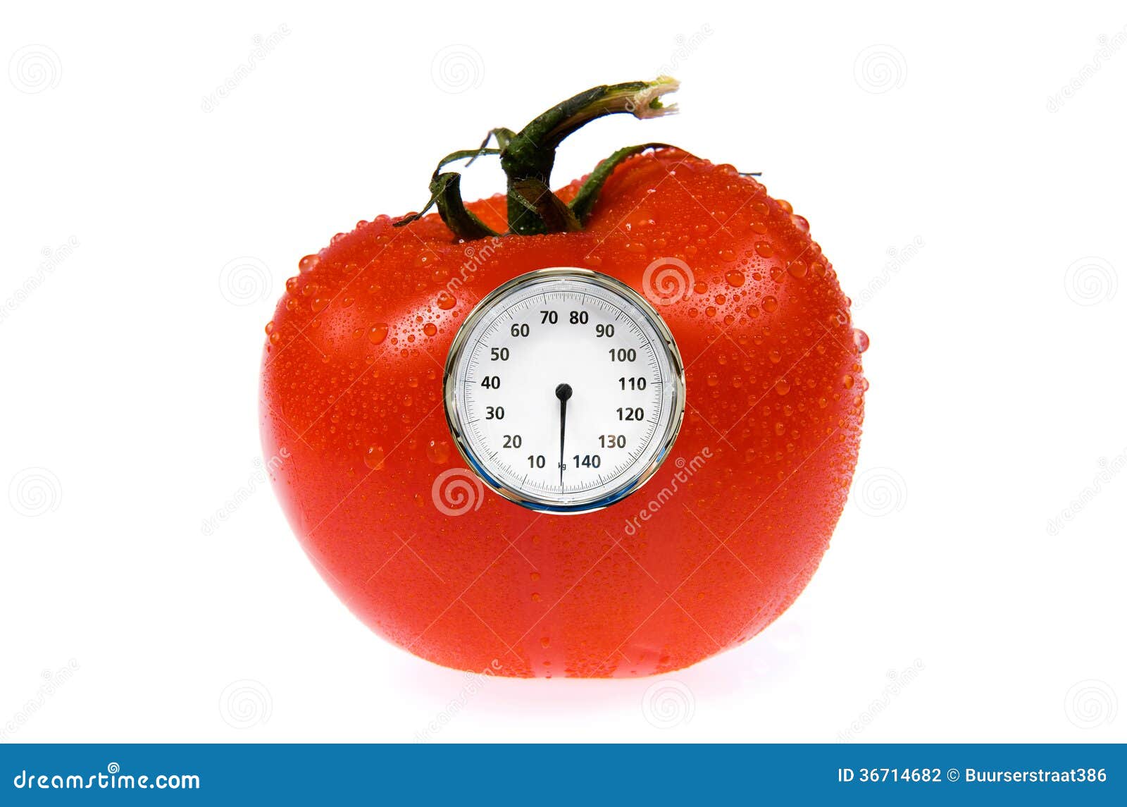 Tomato with weight scale stock photo. Image of energy - 36714682