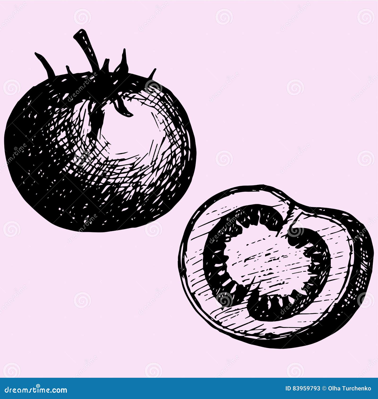 Tomato stock vector. Illustration of sketch, doodle, ketchup - 83959793