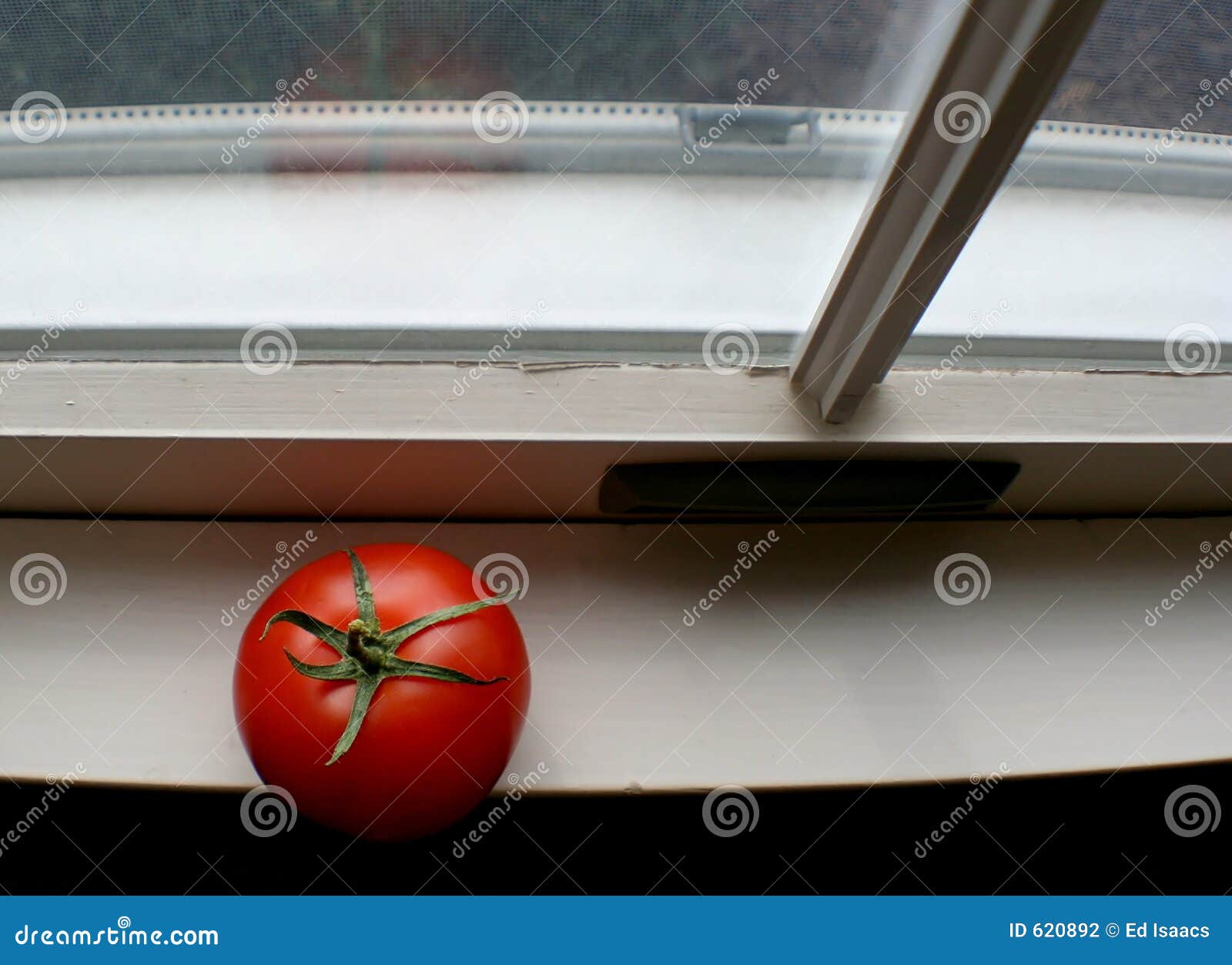 Tomato on Window Sill stock photo. Image of wide, sill - 620892
