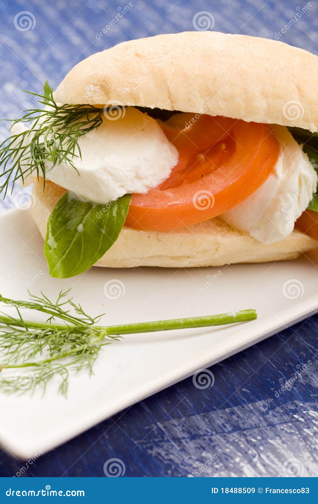 Tomatoe Mozzarella Sandwich Stock Image - Image of table, bread: 18488509
