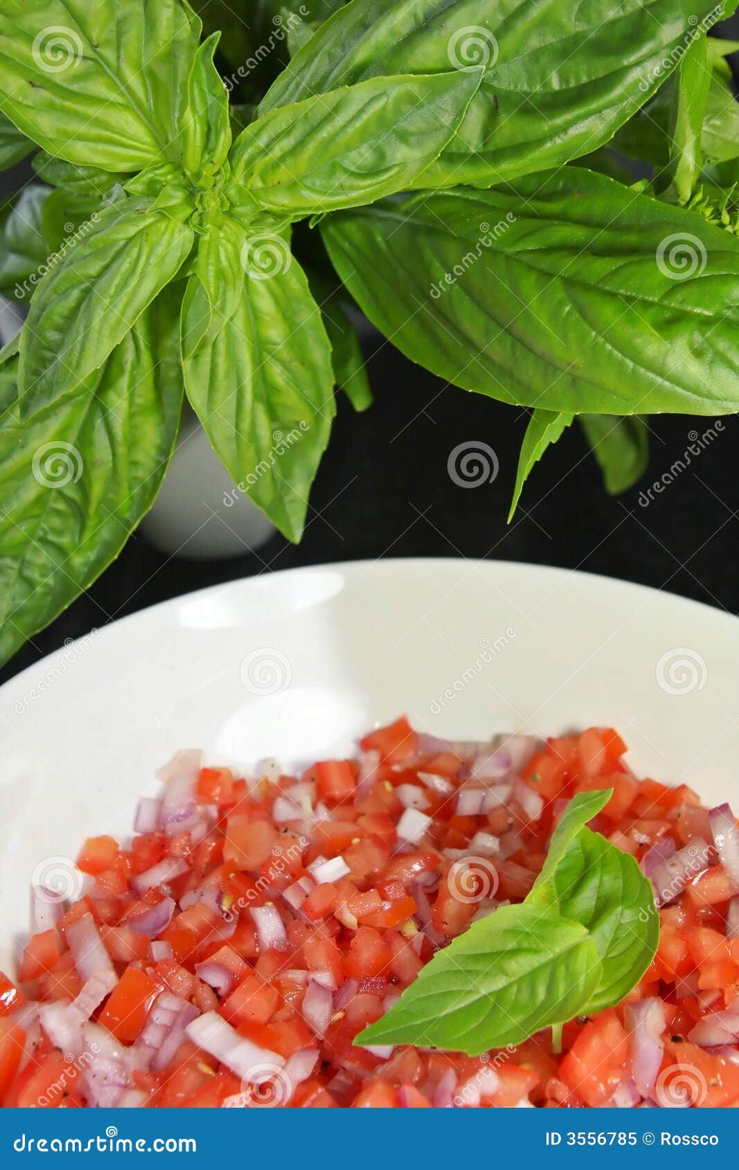 Tomatoe Salsa with Basil stock image. Image of basil, ripe - 3556785