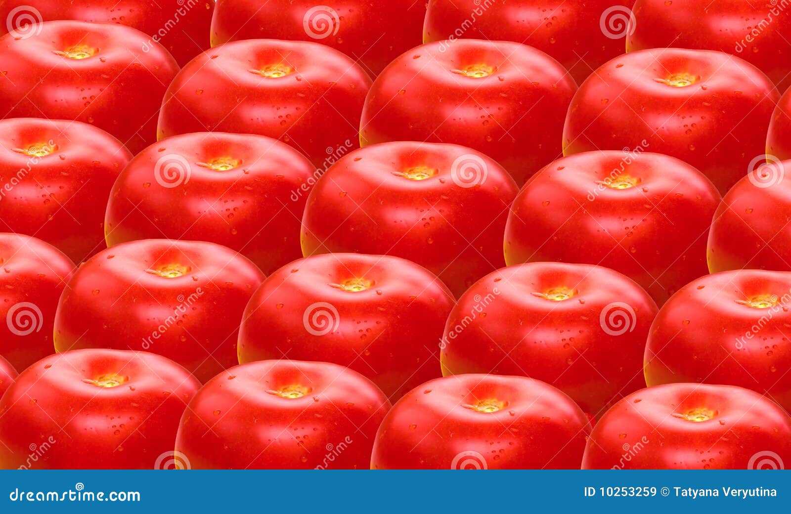 Tomatoes stock image. Image of fresh, tempting, texture - 10253259