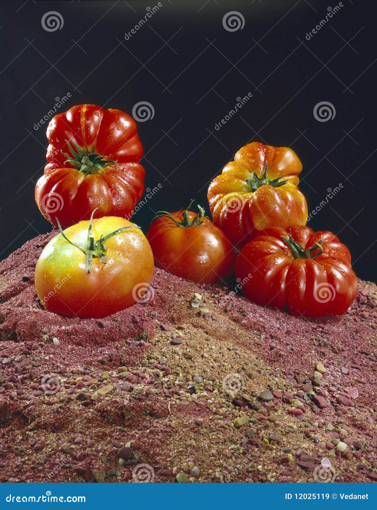 Tomatoes stock image. Image of sand, yellow, salad, composition - 12025119